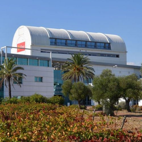 Trois nouvelles formations au CFMA des Pyrénées-Orientales - Chambre de ...